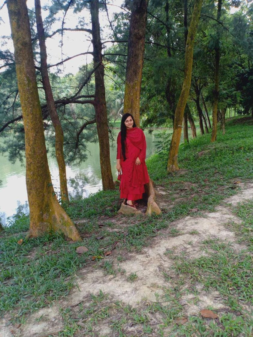 DevFolio - Developer Portfolio Template